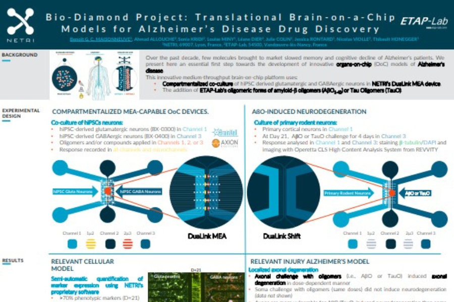 Bio-Diamond Project: Translational brain-on-a-chip models for Alzheimer's Disease Drug Discovery ...